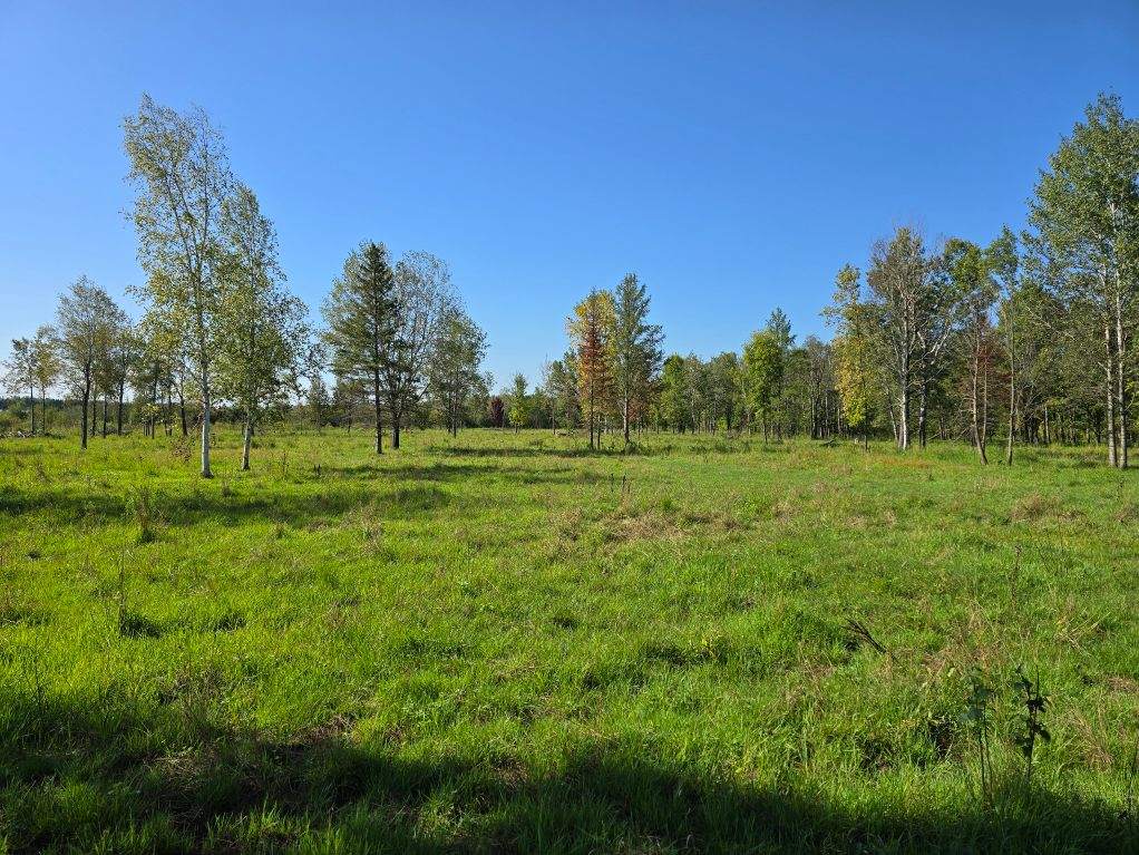 Transform Your Land with Farmland Restoration Services
